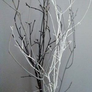 Painted Tree Branches White Grey Black Set of 10 Long Natural Oak Tree ...