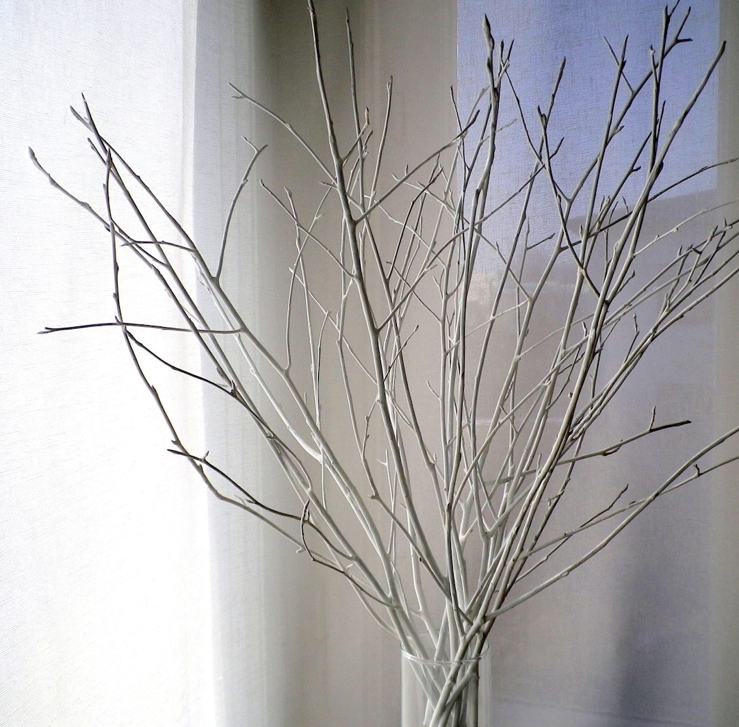 Hand Painted White Birch Twigs: Minimalist Vase Filler, 20 Inch Set - Etsy