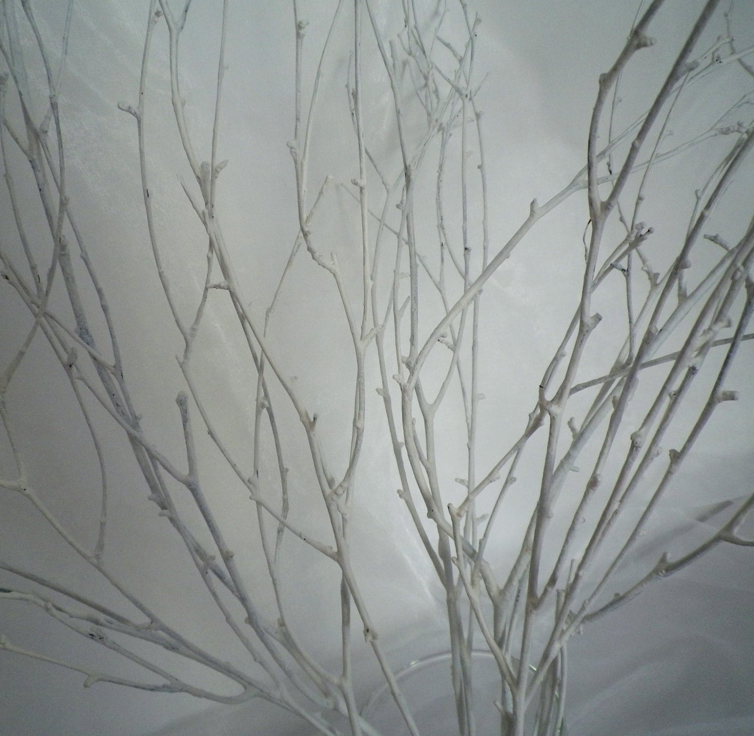 White Birch Twigs Set of 12 Hand Painted Birch Branches - Etsy UK