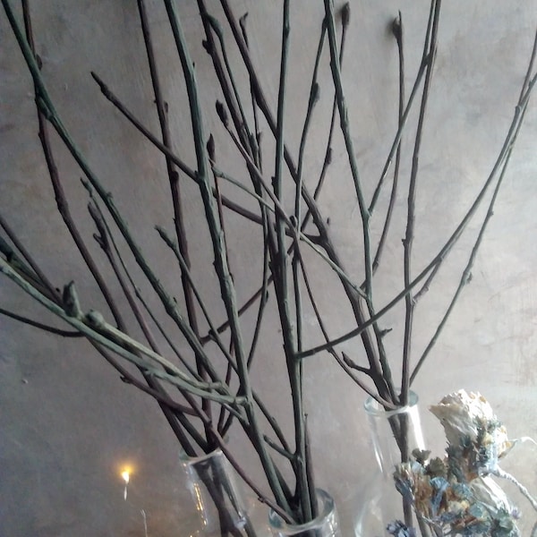 Brown Tree Branches - Etsy