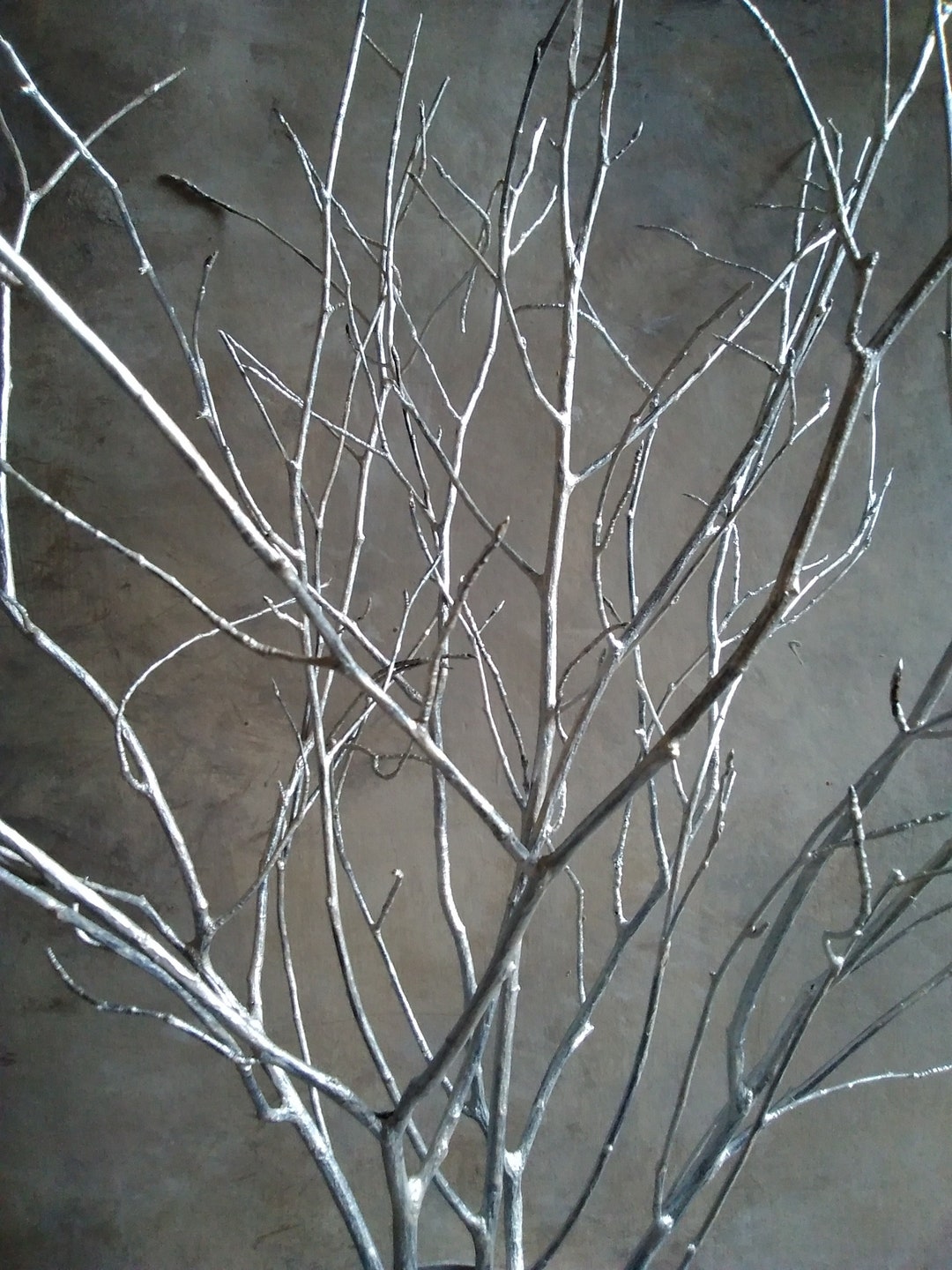 Silver Tree Branches 5 Decorative 28 Wood Branches Home Decor 25th ...