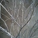 Silver Tree Branches 5 Decorative 28 Wood Branches Home - Etsy