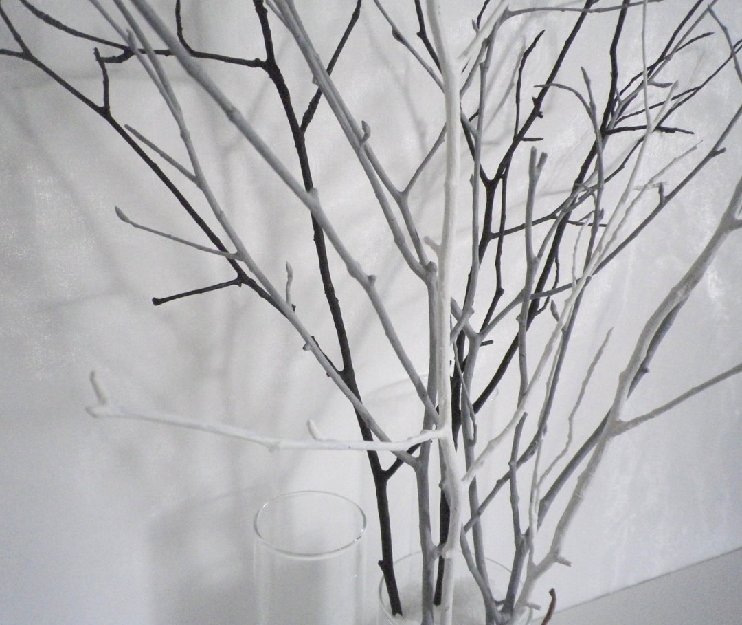 Home Decor Branches, Tree Branches, Woodland Home Decor, Modern ...