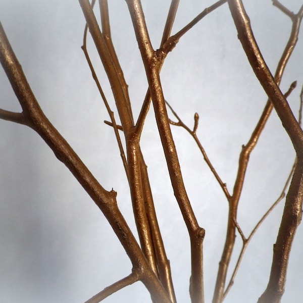 Wood Branches - Etsy