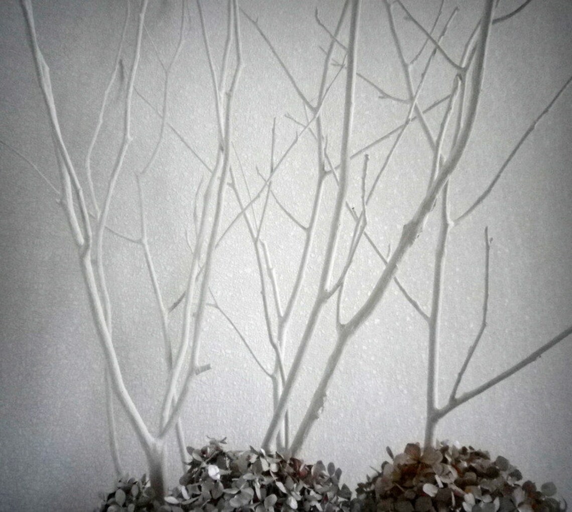 Wedding Centerpiece 6 White Tree Branches Decorative - Etsy