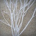 Tree Branches Home Decor Vase Filler 28'' Set of 6 Teal /white /black ...