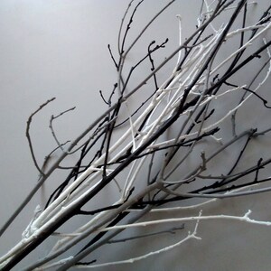 Painted Tree Branches White Grey Black Set of 10 Long Natural Oak Tree ...