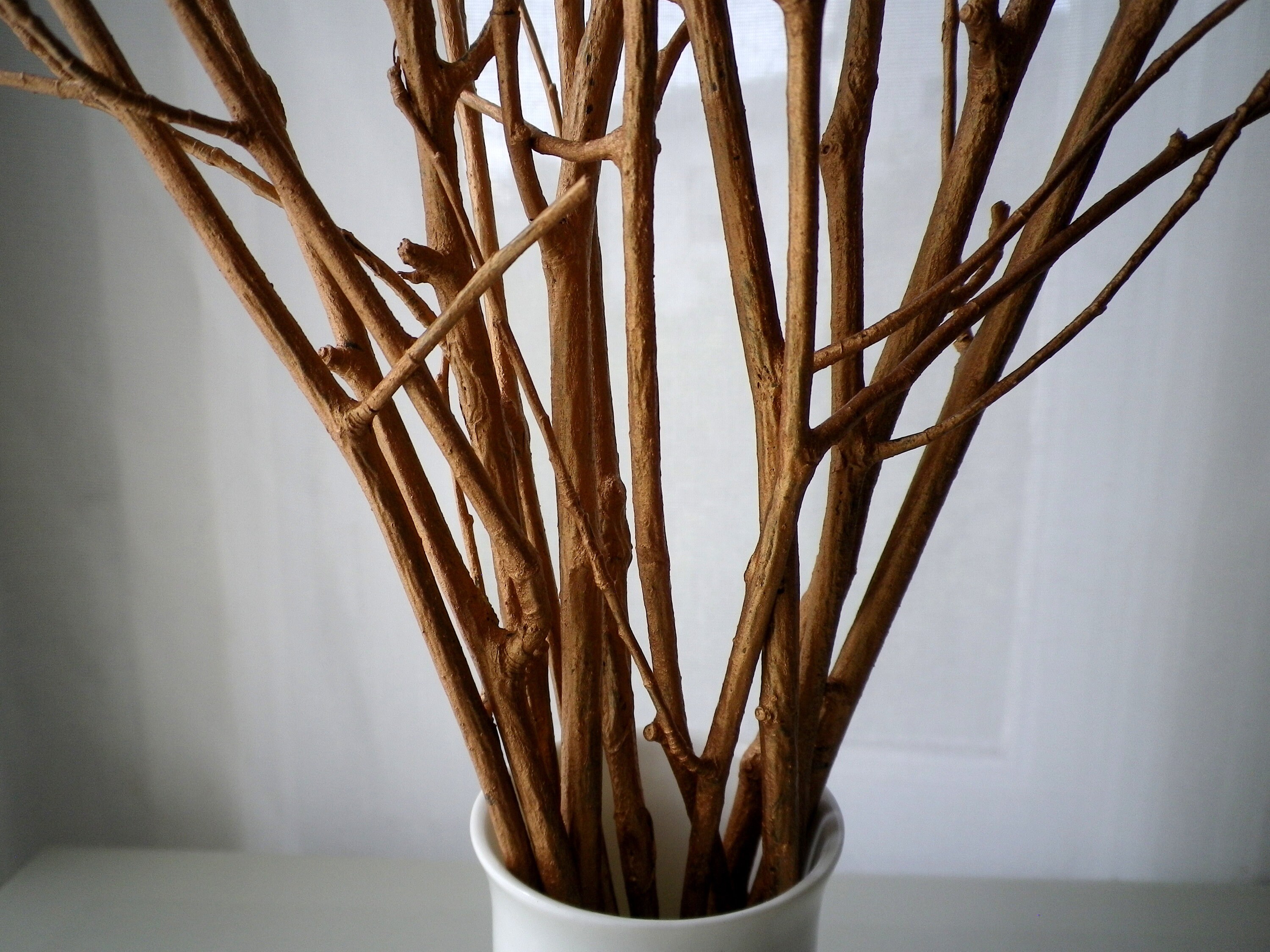 Copper Painted Tree Branches: Natural Wood Vase Filler, Modern Decor - Etsy