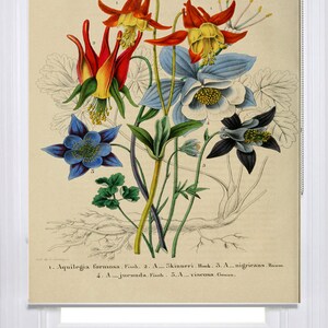 Botanical Selection of Beautiful Wild Flowers Printed Custom Made ...