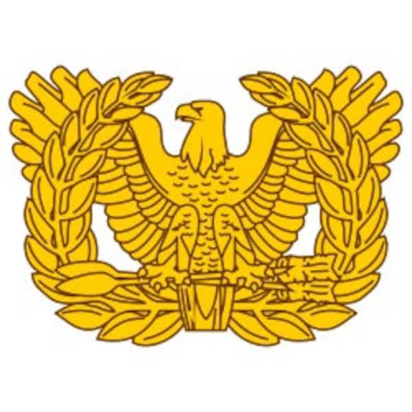 Warrant Officer Army Svg Insignia - Etsy