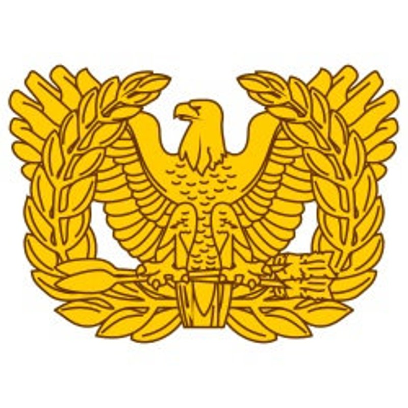 Eagle Rising Svg - Etsy