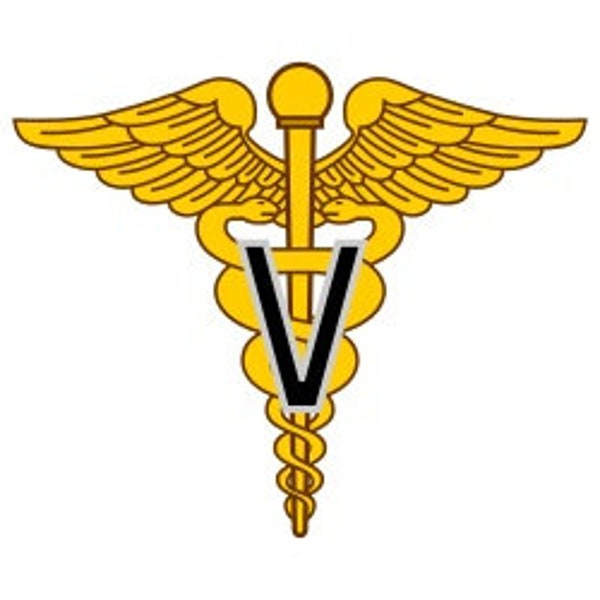 Veterinary Art - Etsy