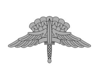 US Army Military Free Fall Jumpmaster HALO Badge Vector | Etsy