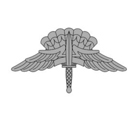 US Army Military Free Fall Parachutist HALO Badge Vector | Etsy