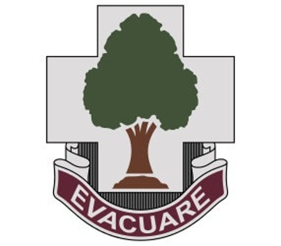 US Army 115th Combat Support Hospital Unit Crest Vector Files | Etsy