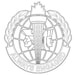 US Army Military Intelligence Readiness Command Unit Crest Vector Files ...