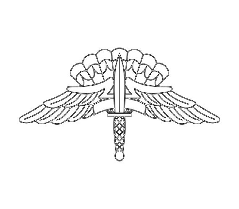 US Army Military Free Fall Parachutist HALO Badge Vector - Etsy Denmark