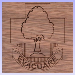 US Army 115th Combat Support Hospital Unit Crest Vector Files, Dxf Eps ...