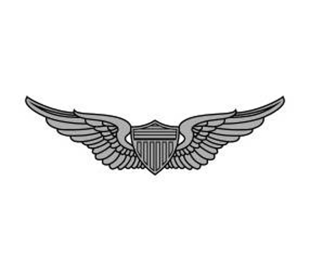 US Army Basic Aviator Badge Vector Files, Dxf Eps Svg Ai Crv - Etsy