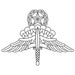 US Army Military Free Fall Jumpmaster (HALO) Badge Vector Files, Dxf ...