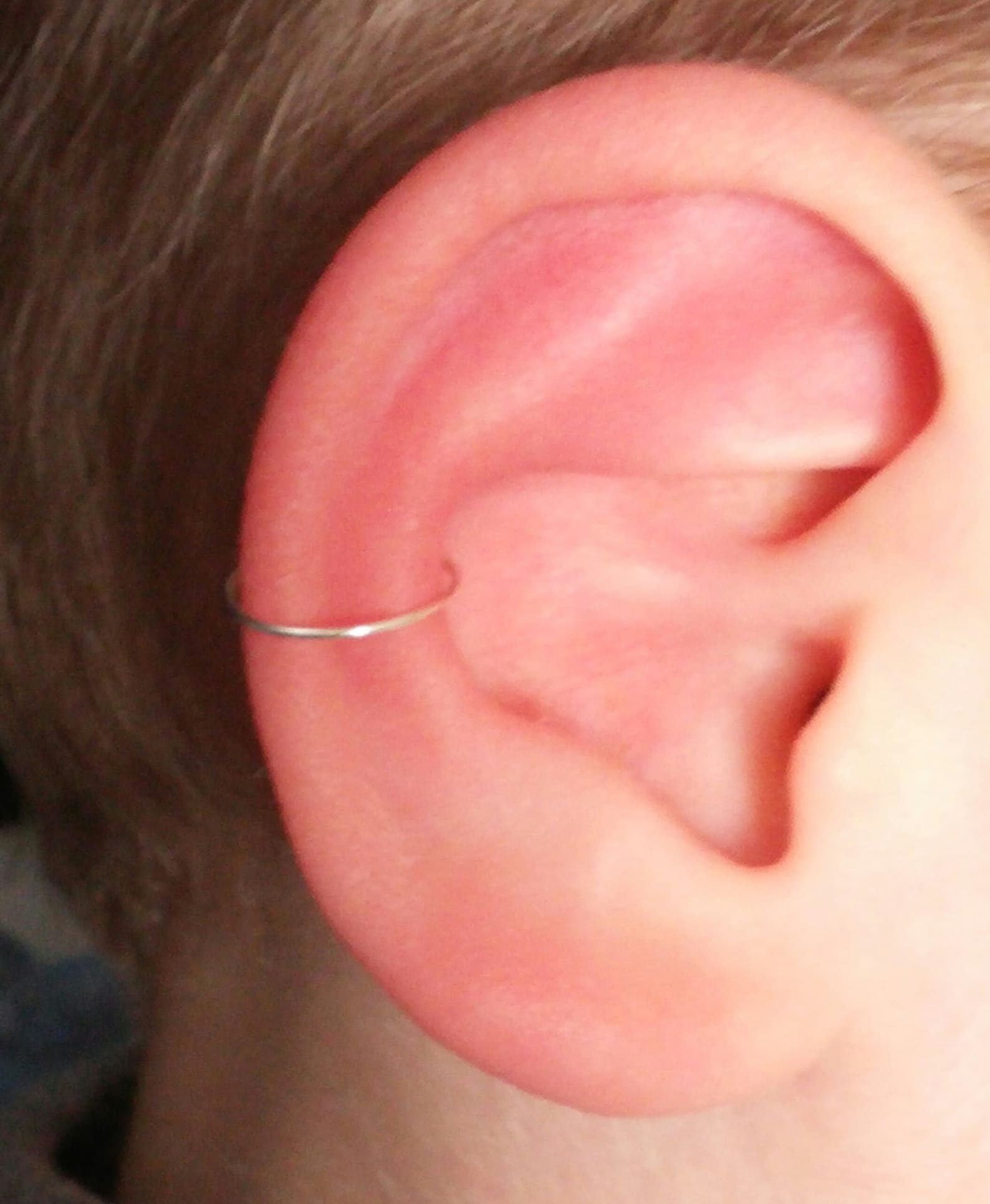 Conch Earring Conch Piercing Conch Hoop Conch Piercing - Etsy