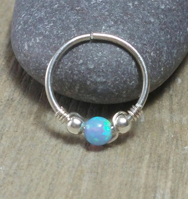 Conch Hoop Earring Gold / Sterling Silver Conch Ring Conch - Etsy Australia