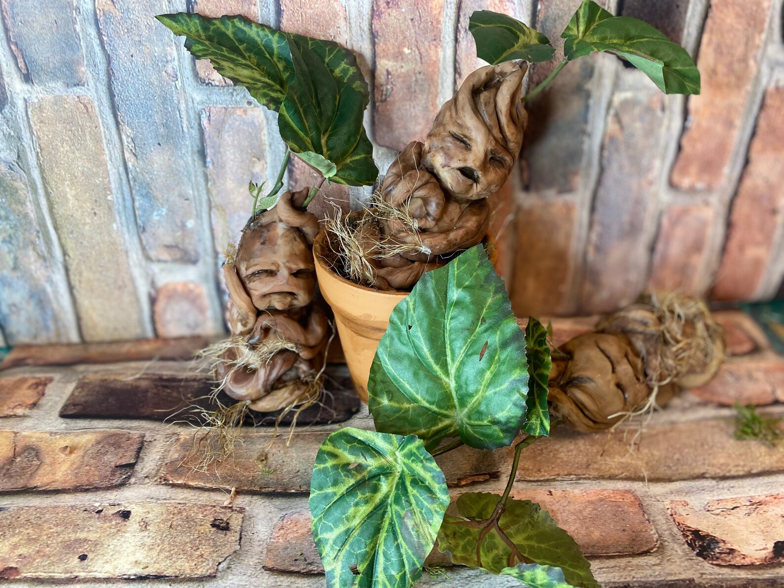 Mandrake Figurine made to Order International Shipping - Etsy