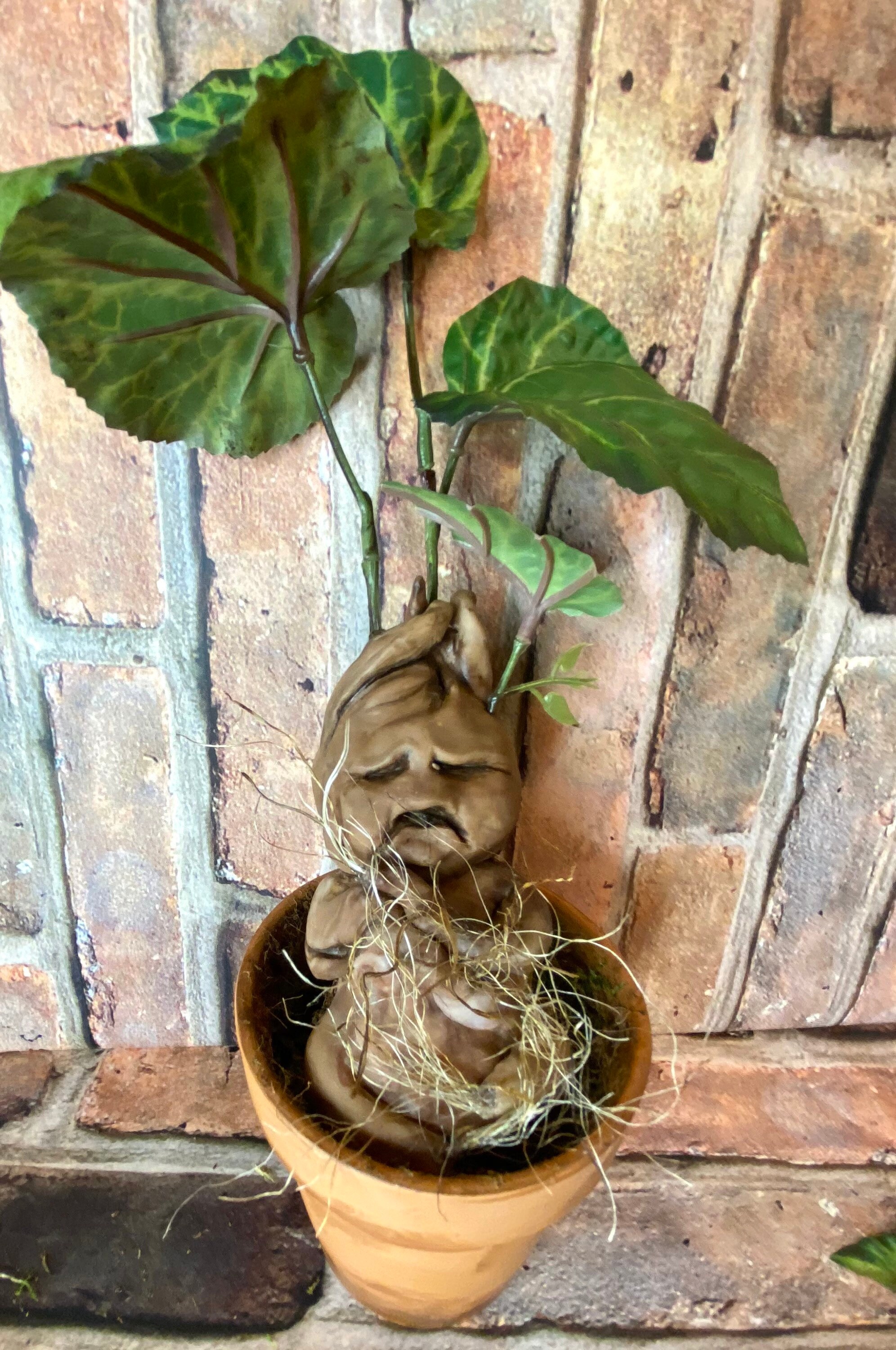Mandrake Figurine made to Order International Shipping | Etsy