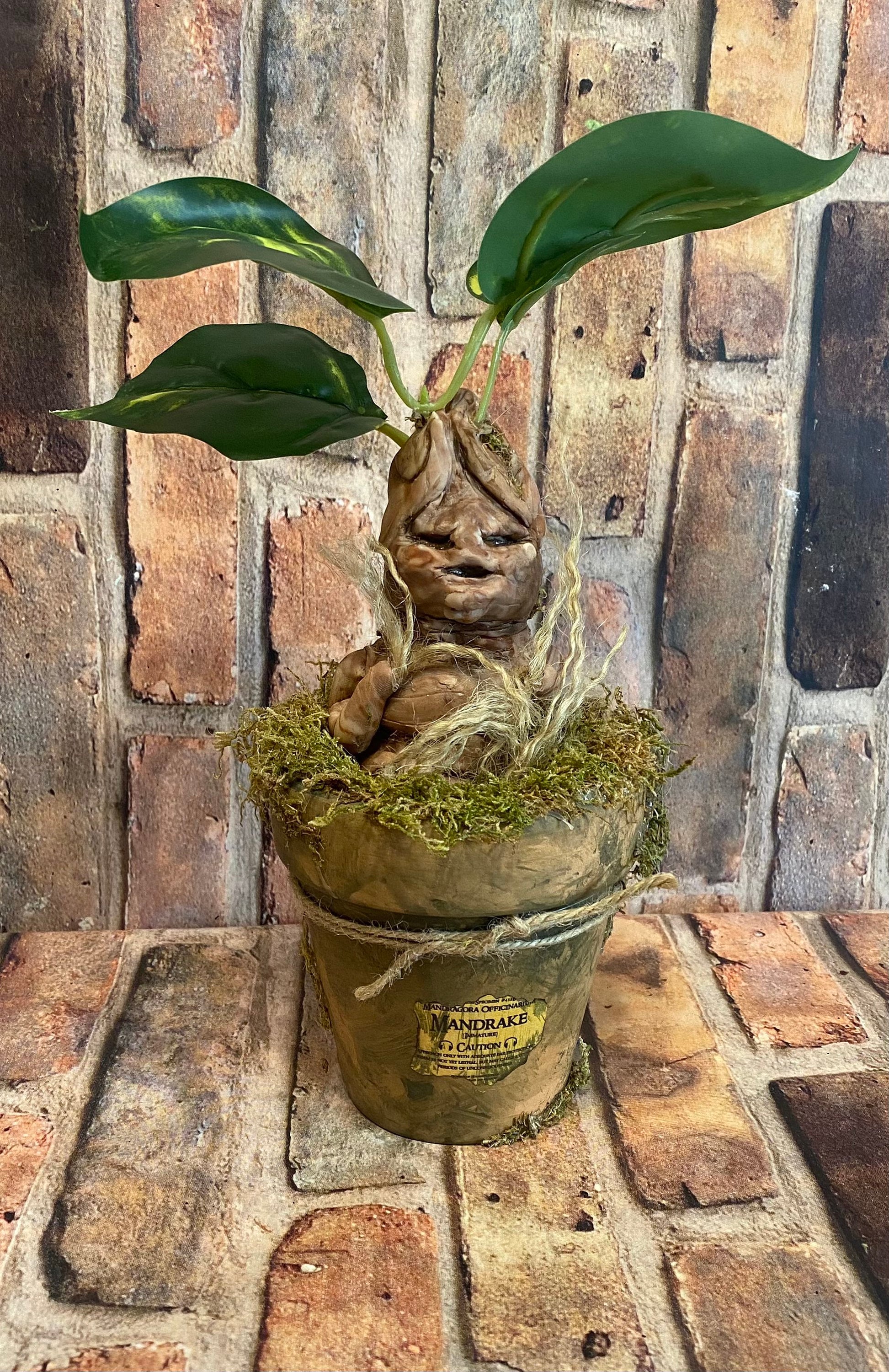 Mandrake Figurine made to Order International Shipping | Etsy