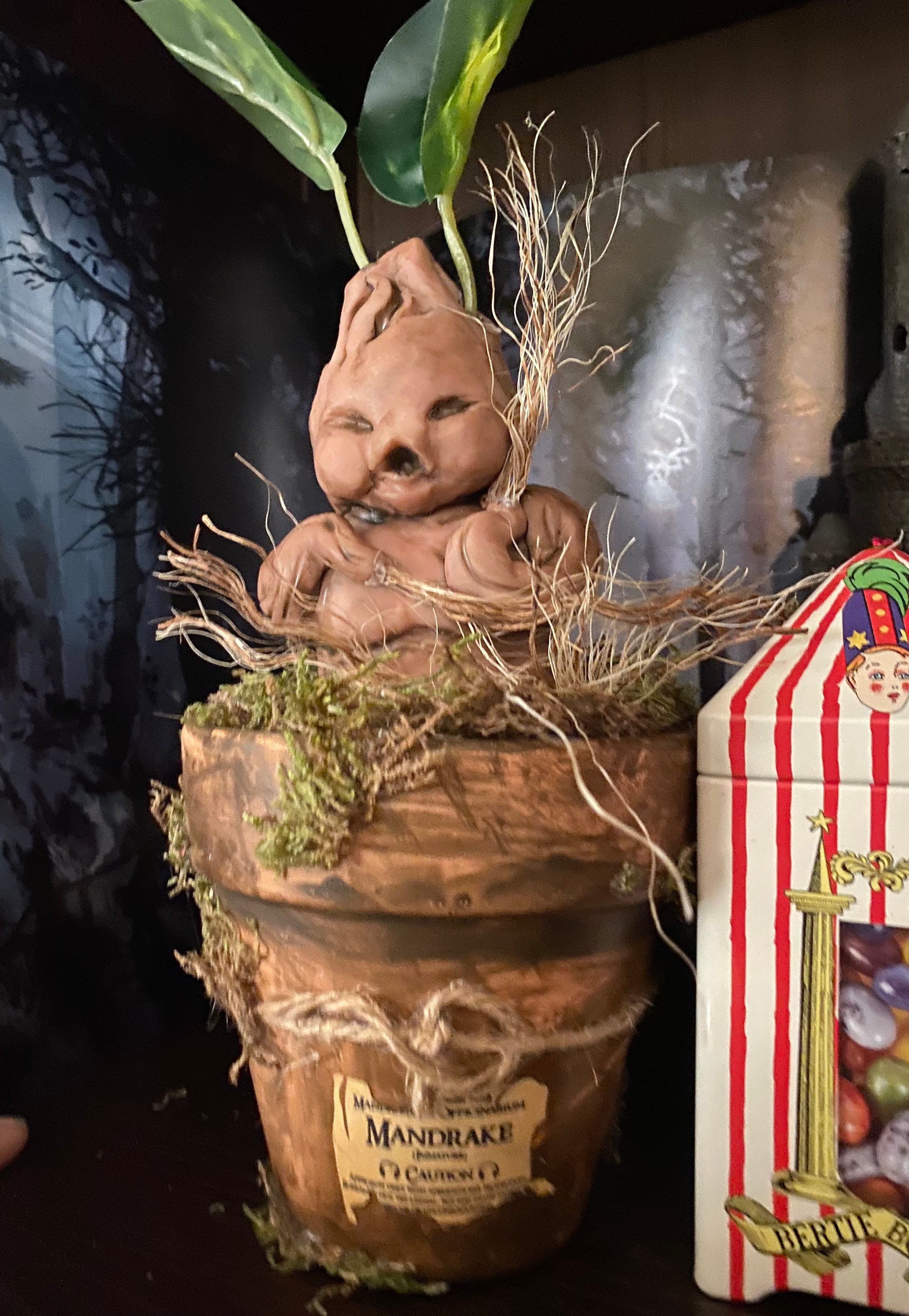 Mandrake Figurine made to Order International Shipping | Etsy