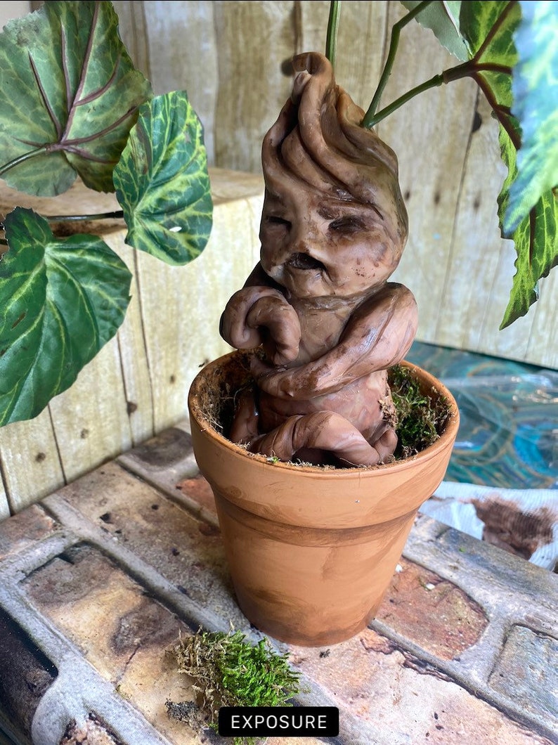 Mandrake Figurine made to Order International Shipping - Etsy