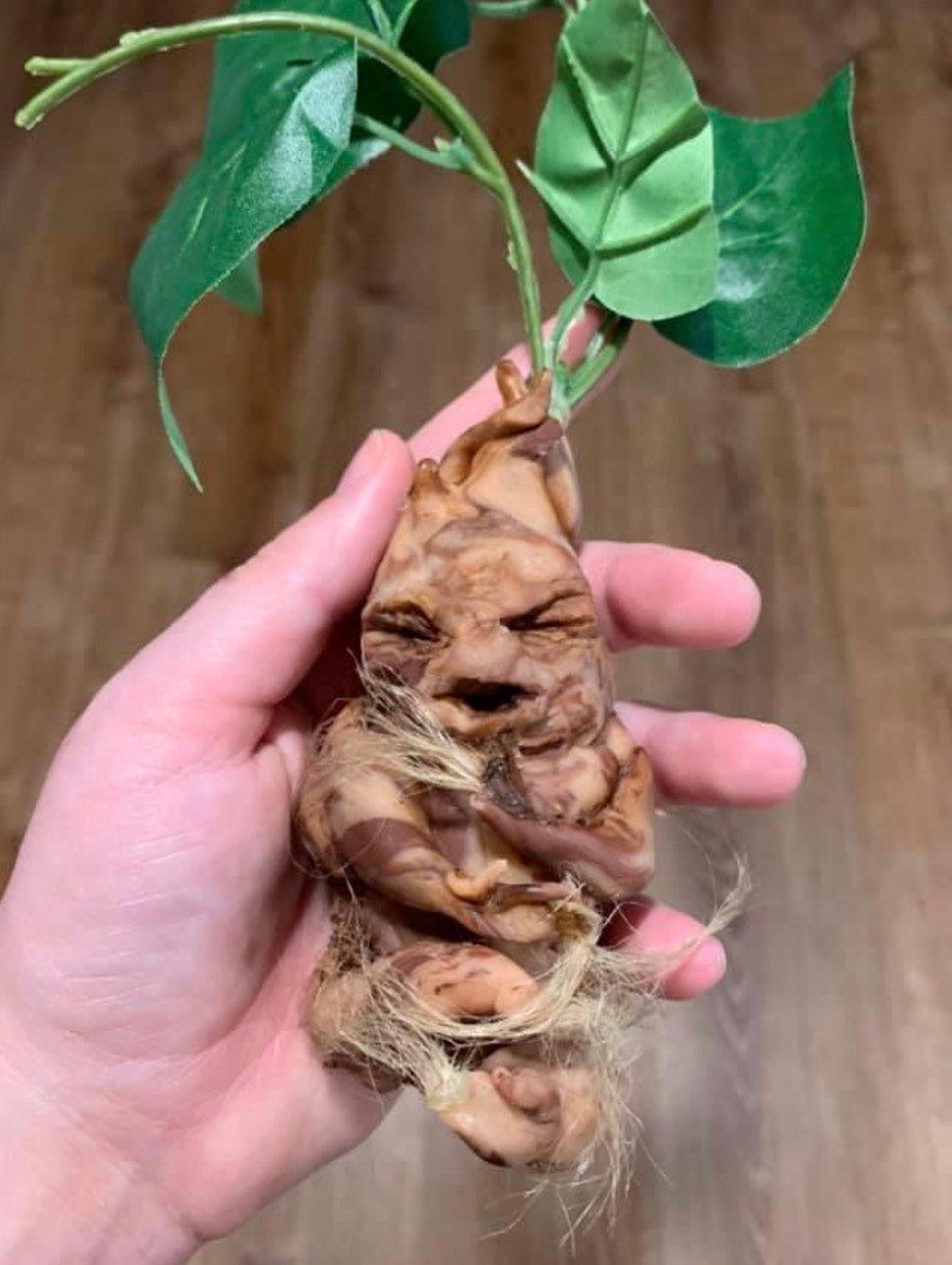 Mandrake Figurine made to Order International Shipping - Etsy