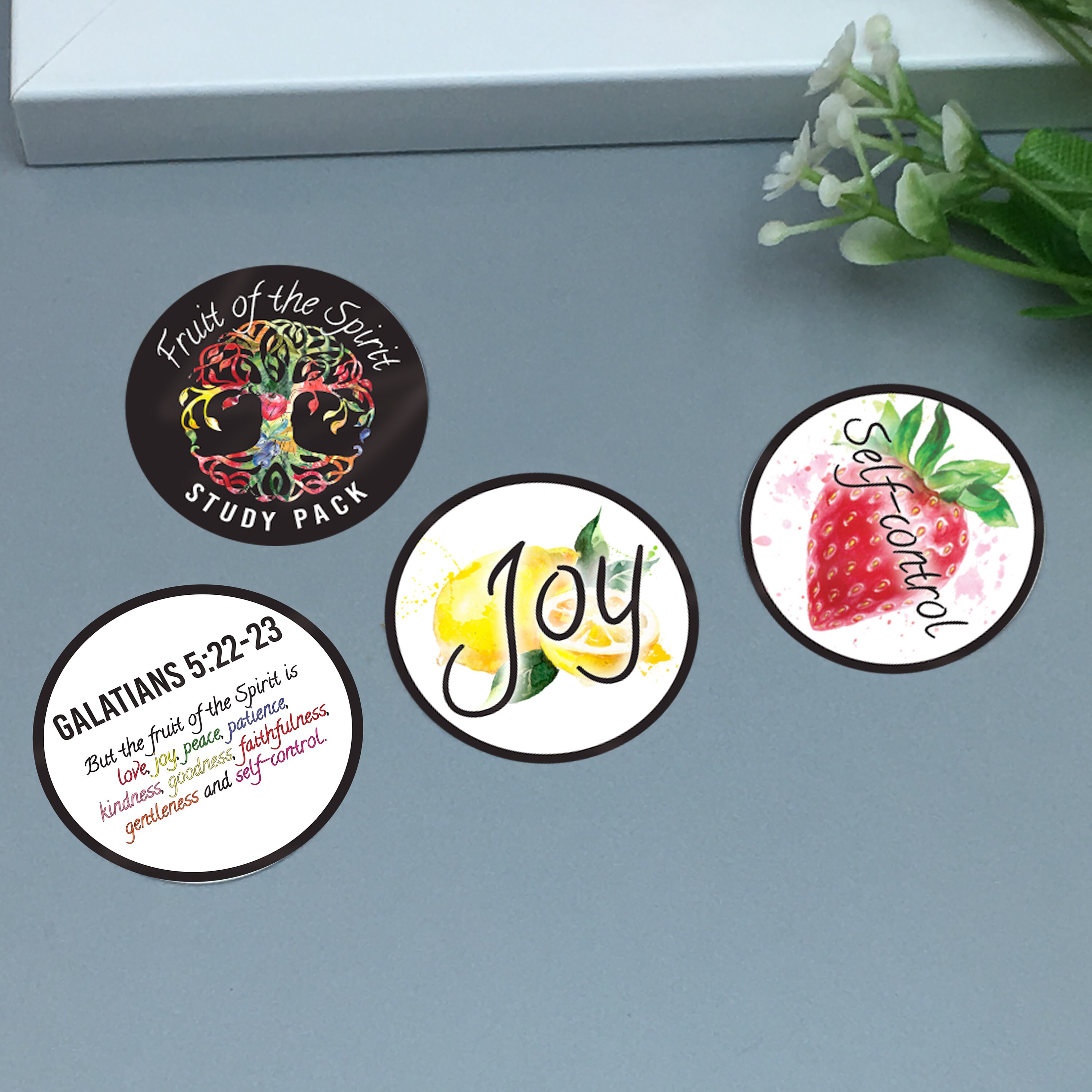 Fruit of the Spirit Bible Verse Memory Pack Fruit of the | Etsy