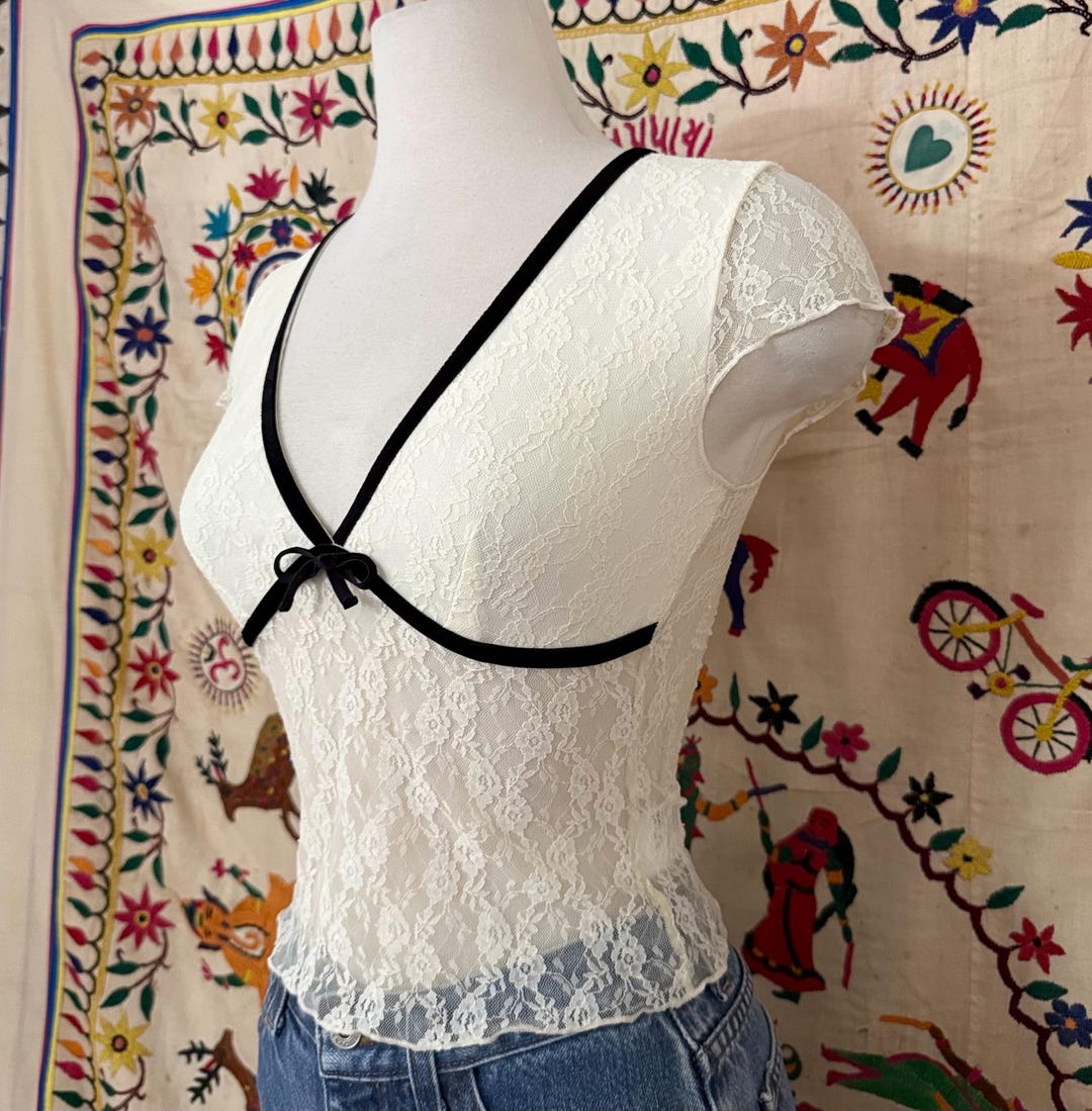UO Sheer Lace Top Velvet Detail - Etsy