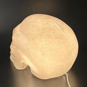 Highly Detailed Gothic Full Size Human Skull Glowing Lamp - Etsy