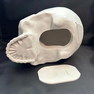 Full Size Human Skull Stash Container - Etsy