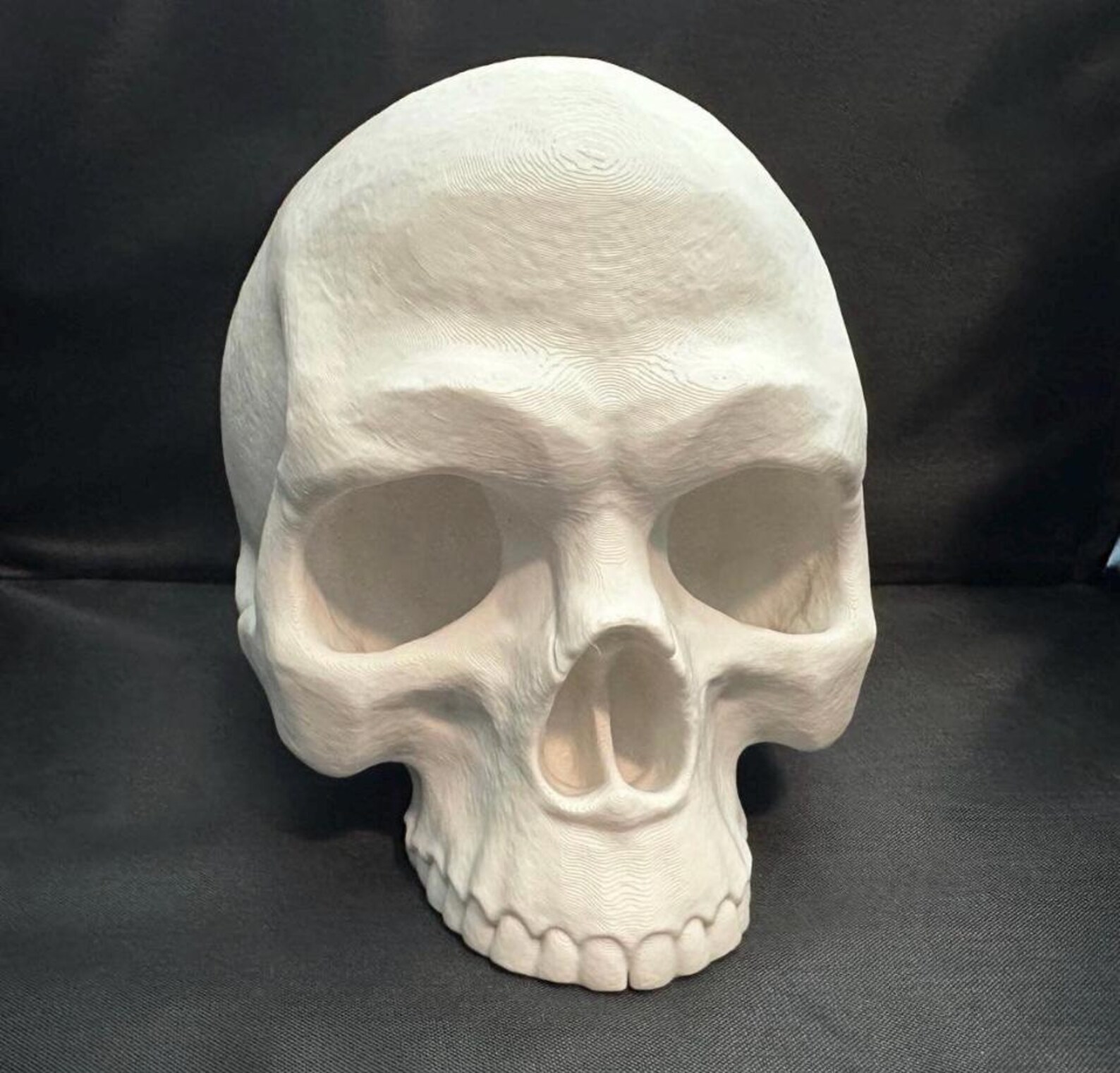 Full Size Human Skull Stash Container - Etsy