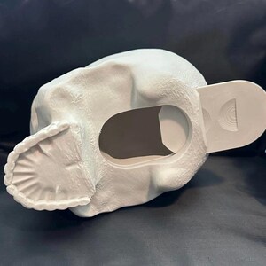 Full Size Human Skull Stash Container - Etsy
