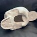 Full Size Human Skull Stash Container - Etsy