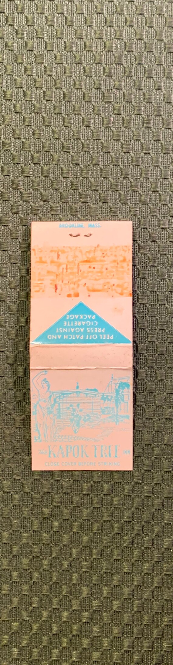 Kapok Tree Restaurant Tampa