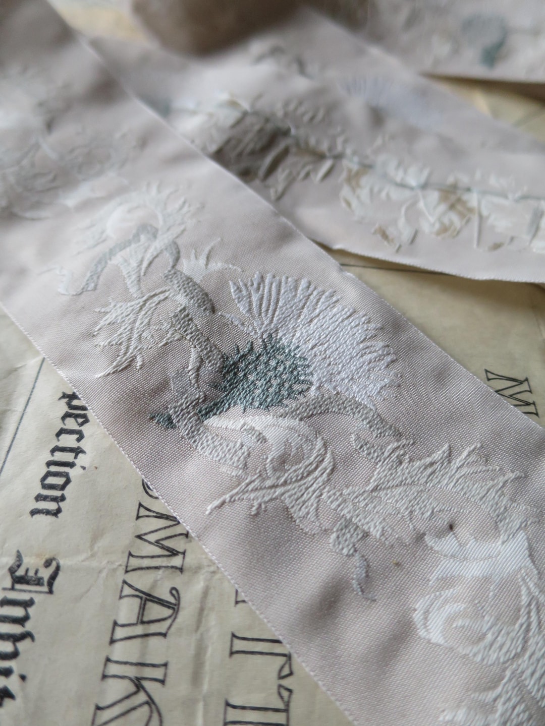 Scottish Thistles 50 Mm Jacquard Woven Ribbon- Beige - Etsy