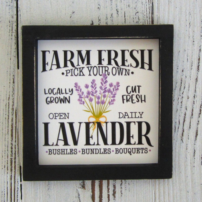 Lavender Decor - Etsy