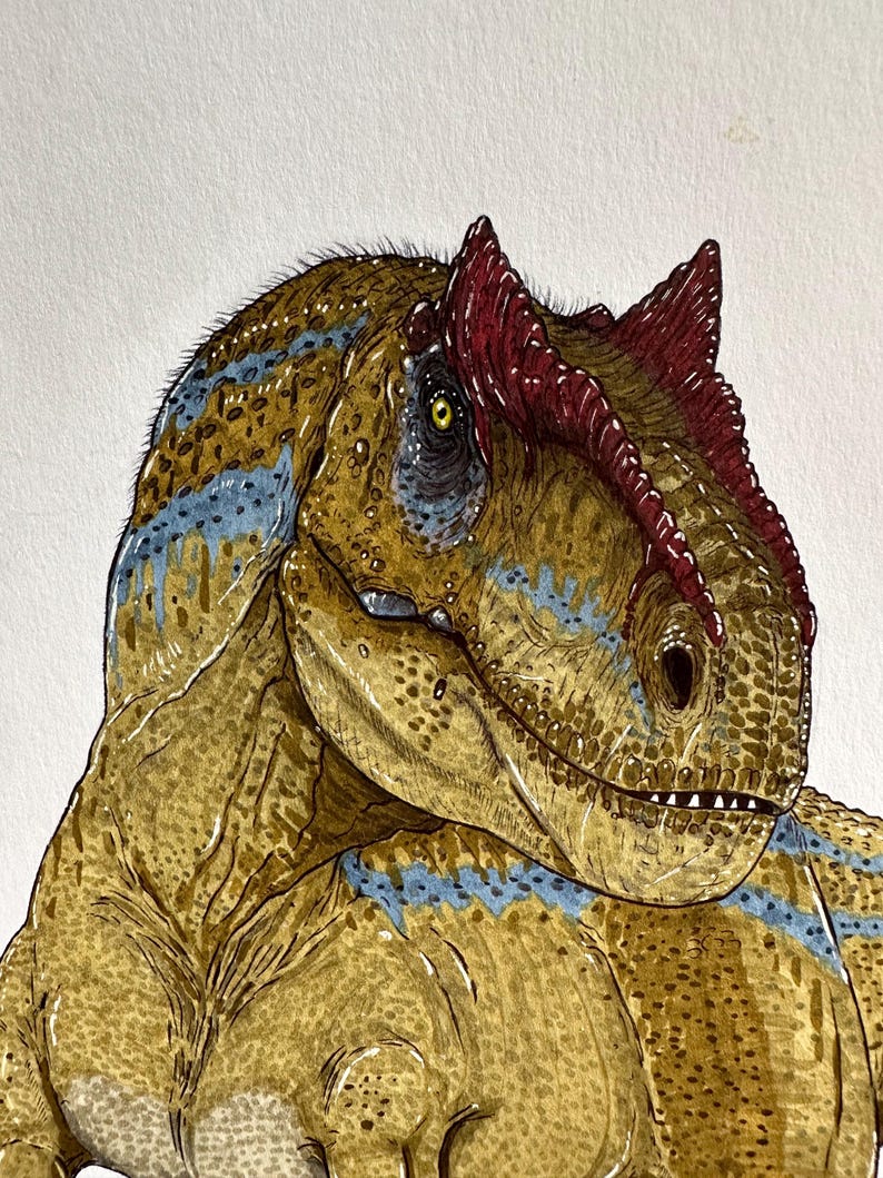 Allosaurus Europaeus - Prints Available - Etsy