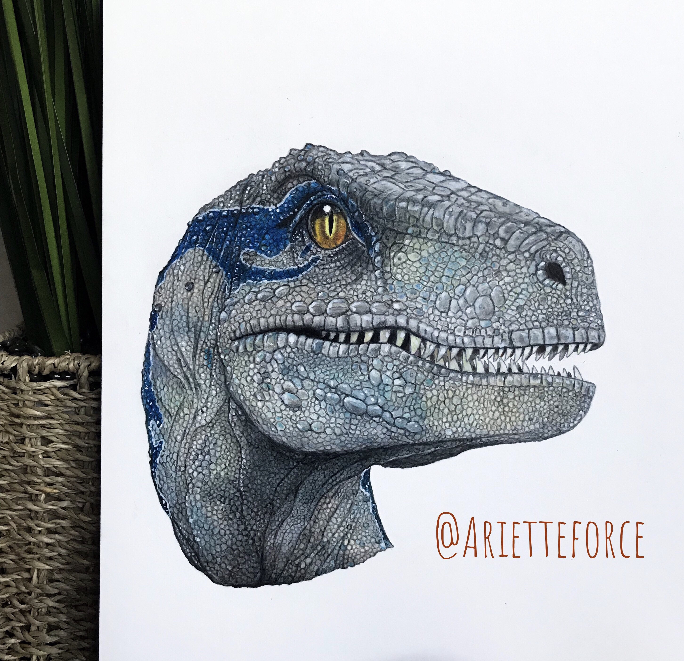 Blue Portrait Jurassic World Fallen Kingdom Poster Print - Etsy