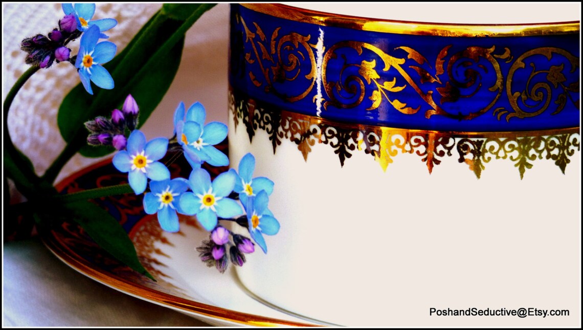 SOLD Exquisite cup and saucer duo great example of finest | Etsy