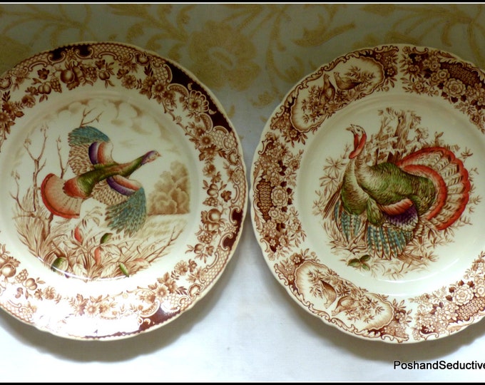 Vintage Windsor Ware Native American Wild Turkeys Brown by Johnson Bros ...