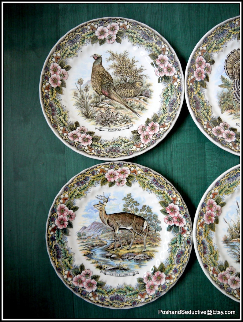 Wild Life Series Set Four Dinner Plates, Farmhouse Kitchen Dining China ...