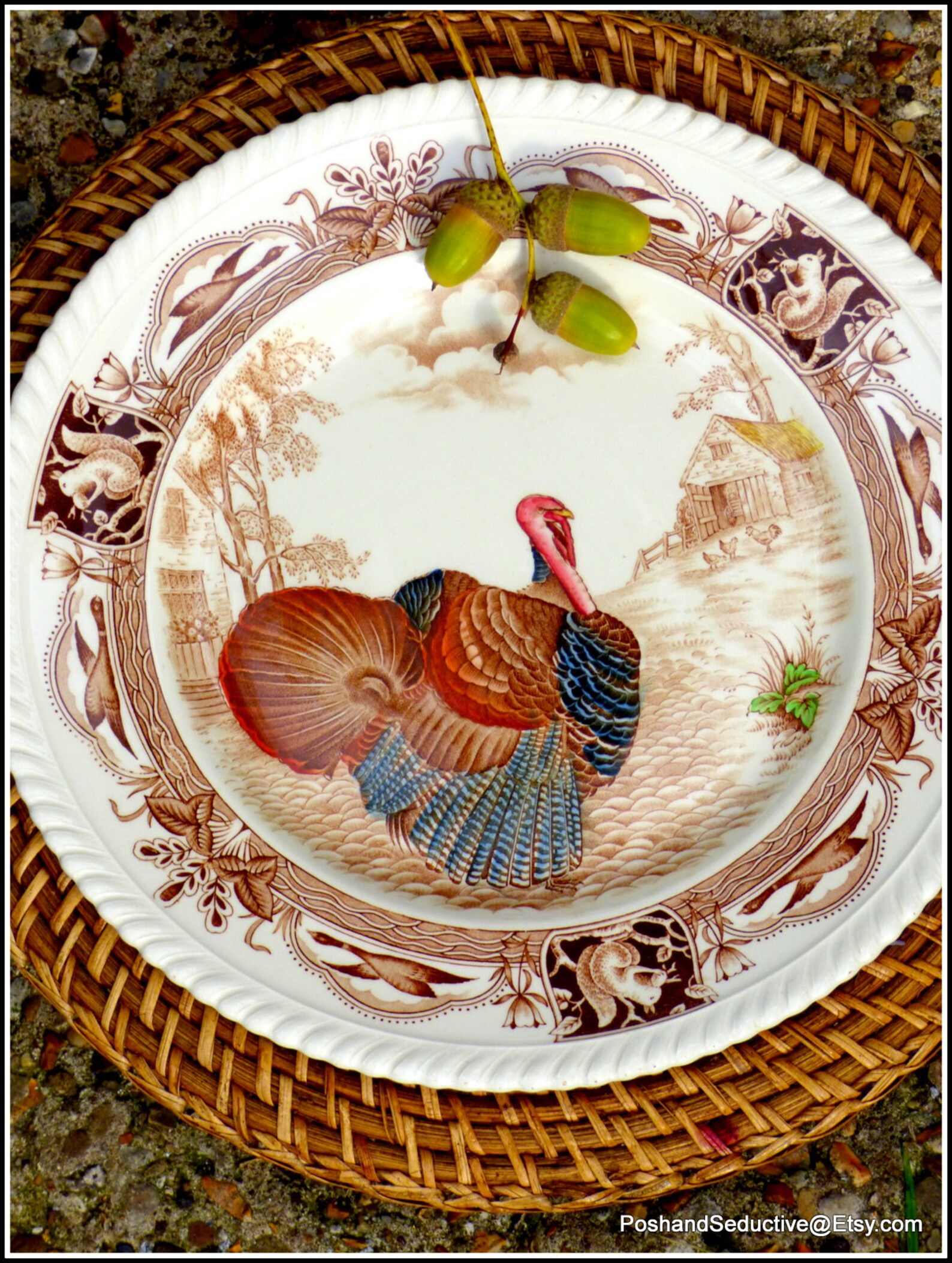 Barnyard King Johnson Brothers Thanksgiving Vintage Transferware Dinner ...