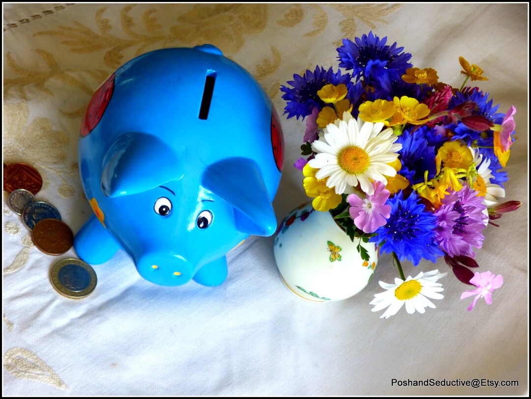 Cute Piglet Porcelain Money Saving Box Baby Shower Christening Gift ...