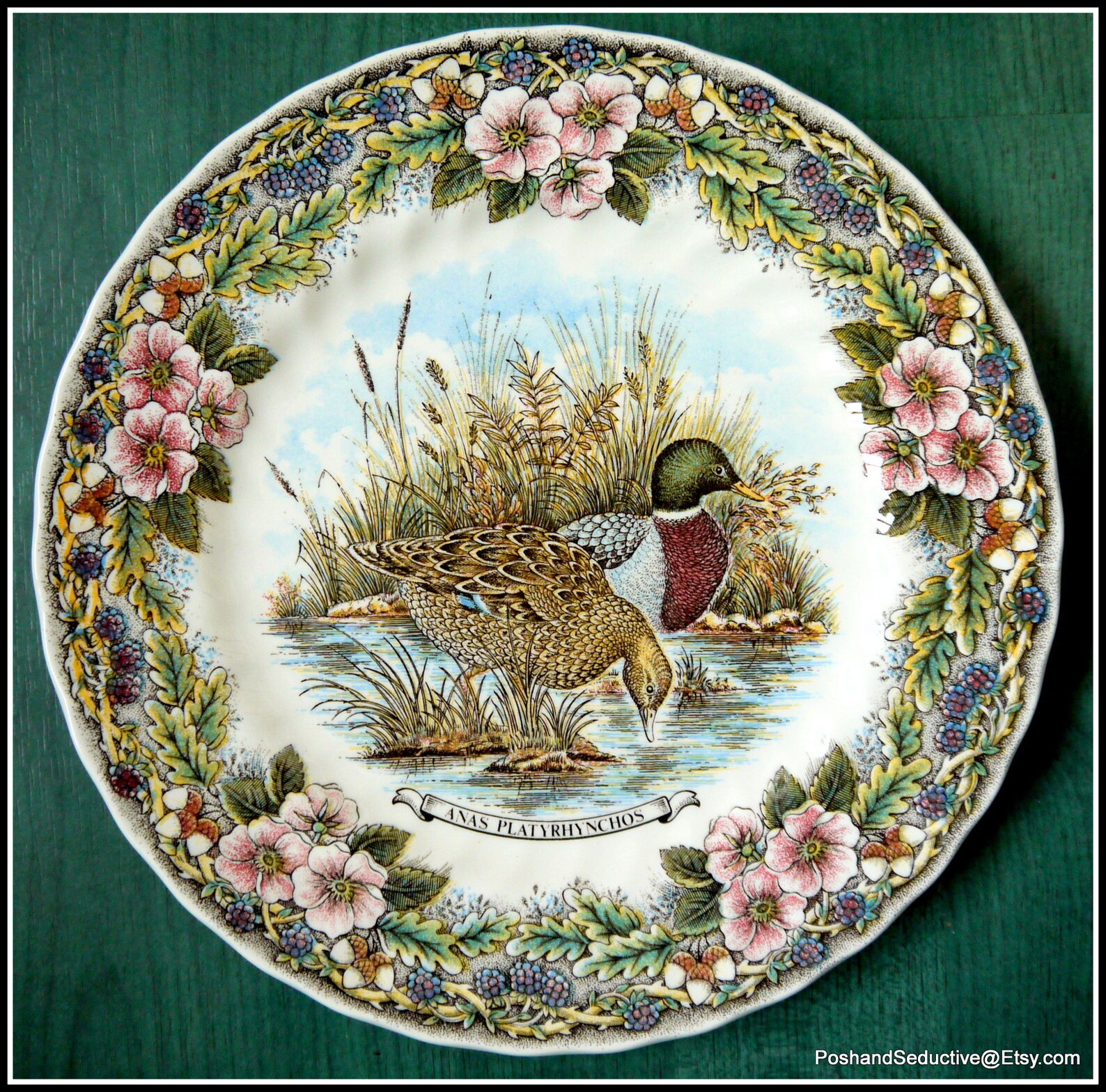 Wild Life Series Set Four Dinner Plates, Farmhouse Kitchen Dining China ...